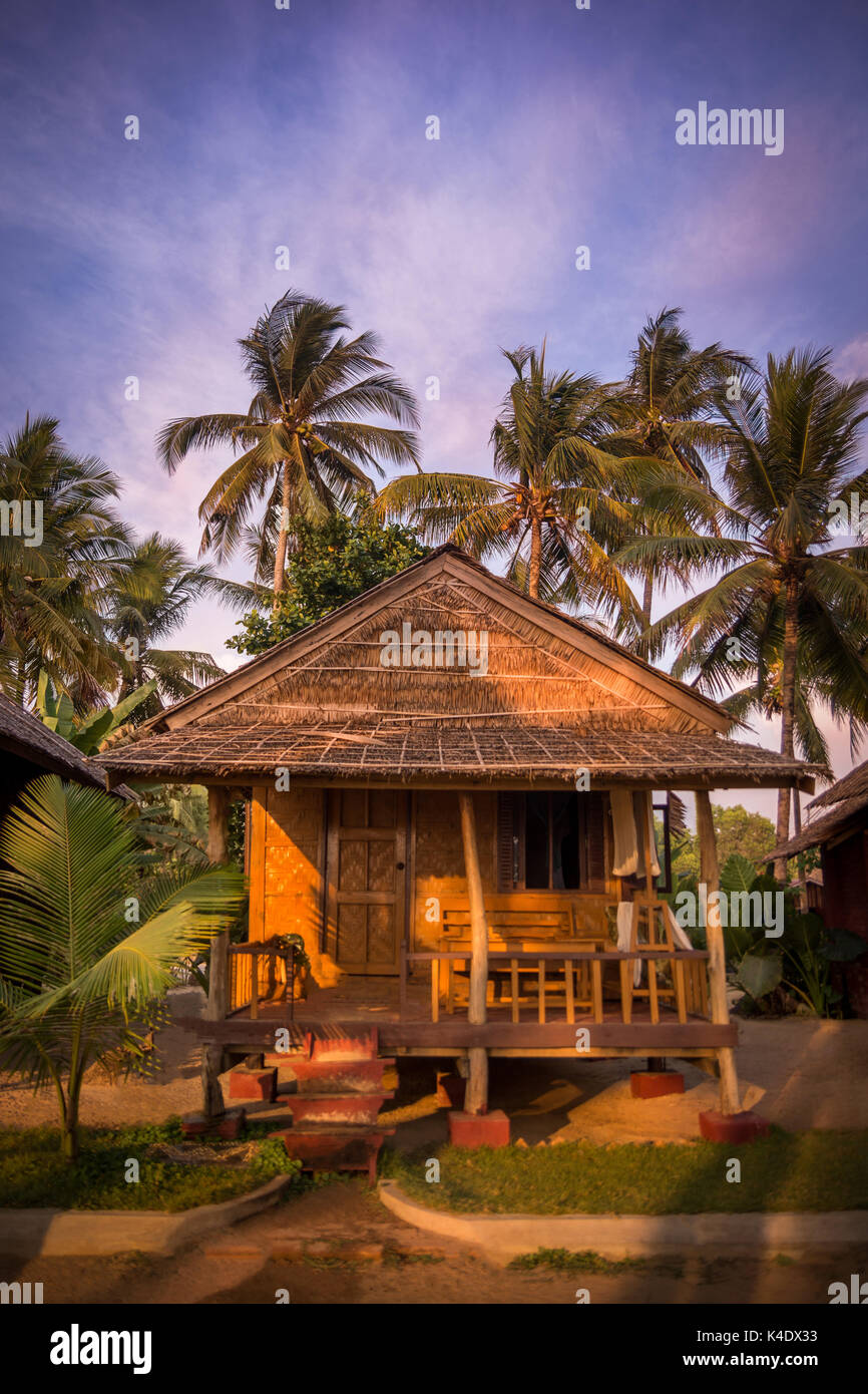 Traditional beach huts, surrounded by lush tropical Palm Trees, at the ...