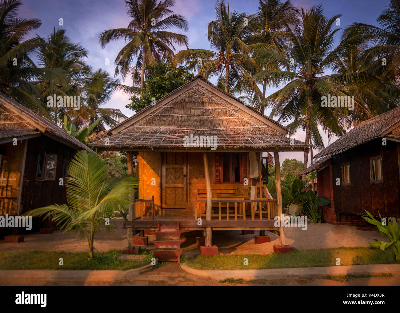 Traditional beach huts, surrounded by lush tropical Palm Trees, at ...