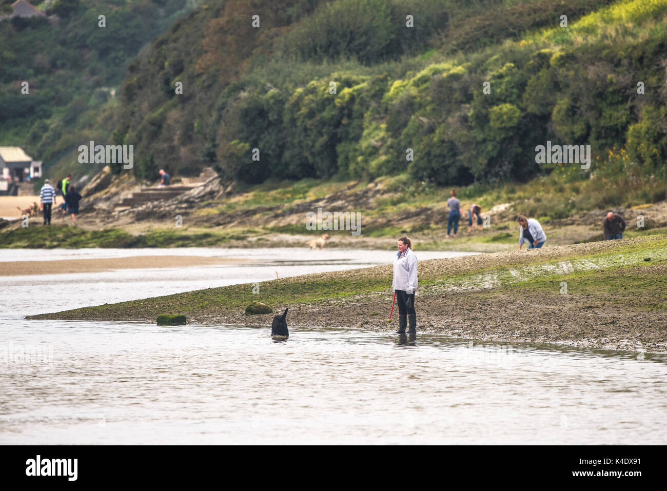 River habitat hi-res stock photography and images - Alamy