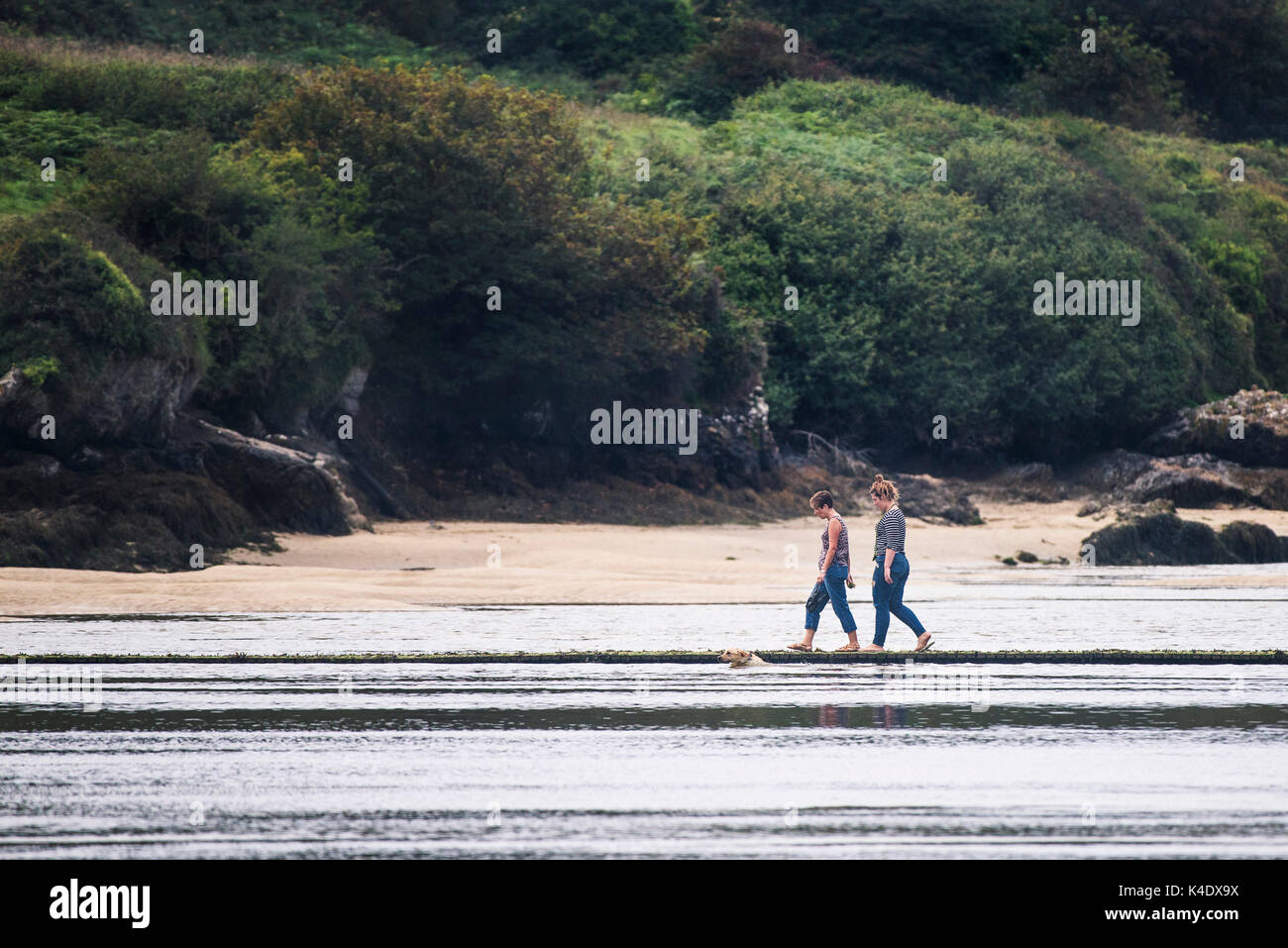 Gannel Estuary - two women walking across a footbridge as their dog ...