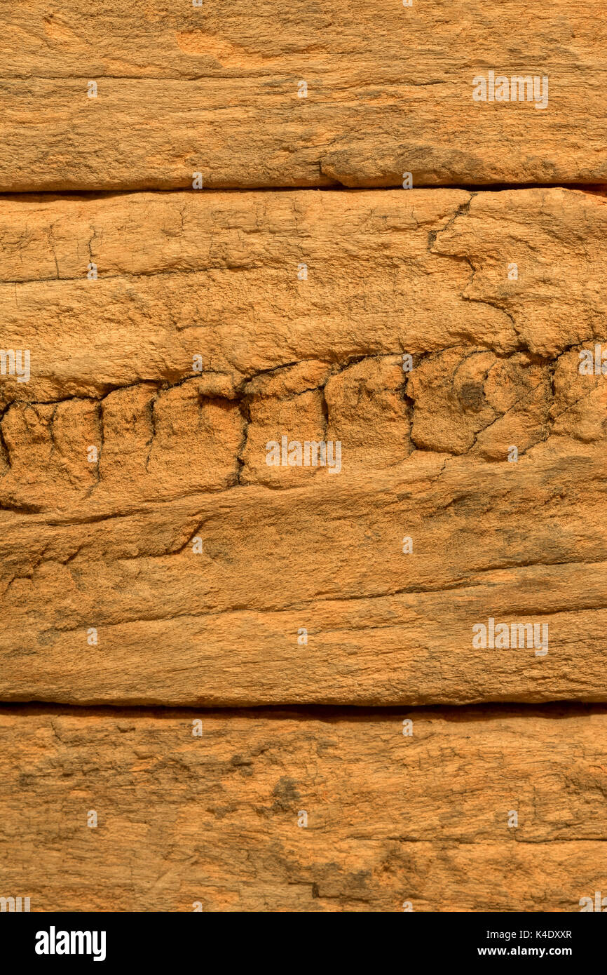 weathered demolition wood section texture detail Stock Photo - Alamy