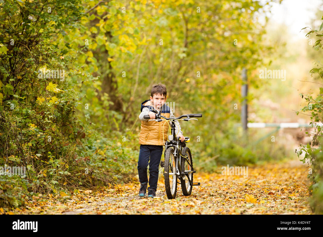 Cute little boy cycling in sunny autumn park Stock Photo - Alamy
