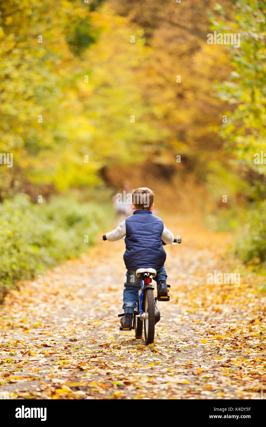 Cute little boy cycling in sunny autumn park Stock Photo - Alamy