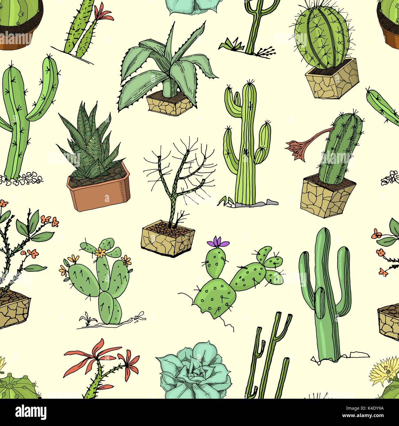 home cactus plants with prickles and nature elements in pots and flowers. exotic or tropical ...