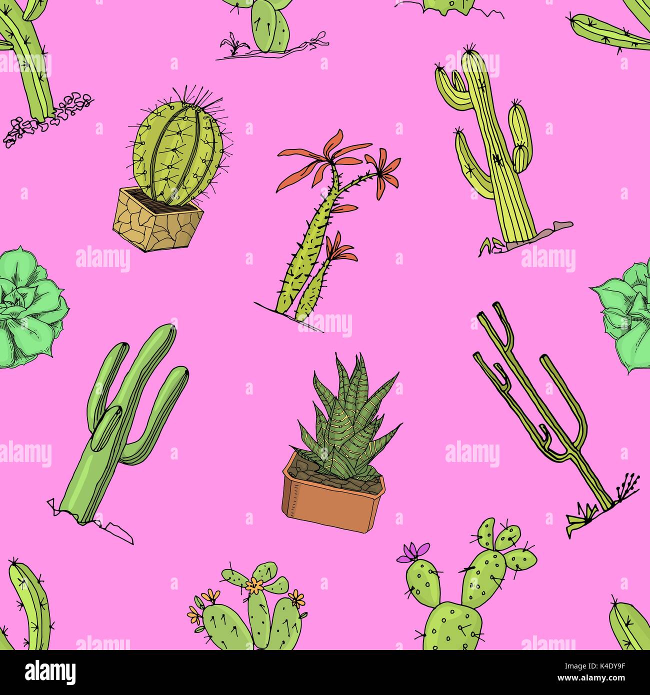 home cactus plants with prickles and nature elements in pots and flowers. exotic or tropical ...