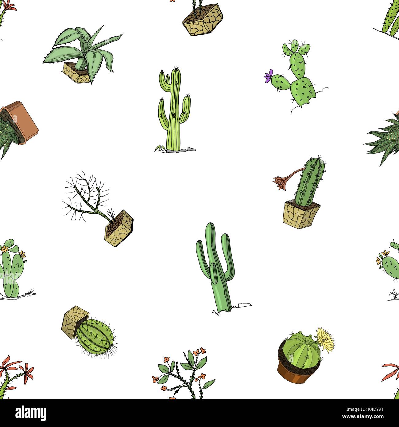 home cactus plants with prickles and nature elements in pots and ...