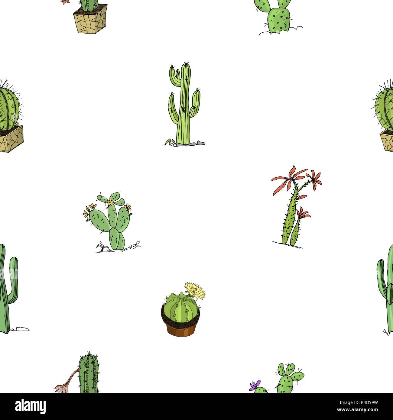 home cactus plants with prickles and nature elements in pots and flowers. exotic or tropical ...