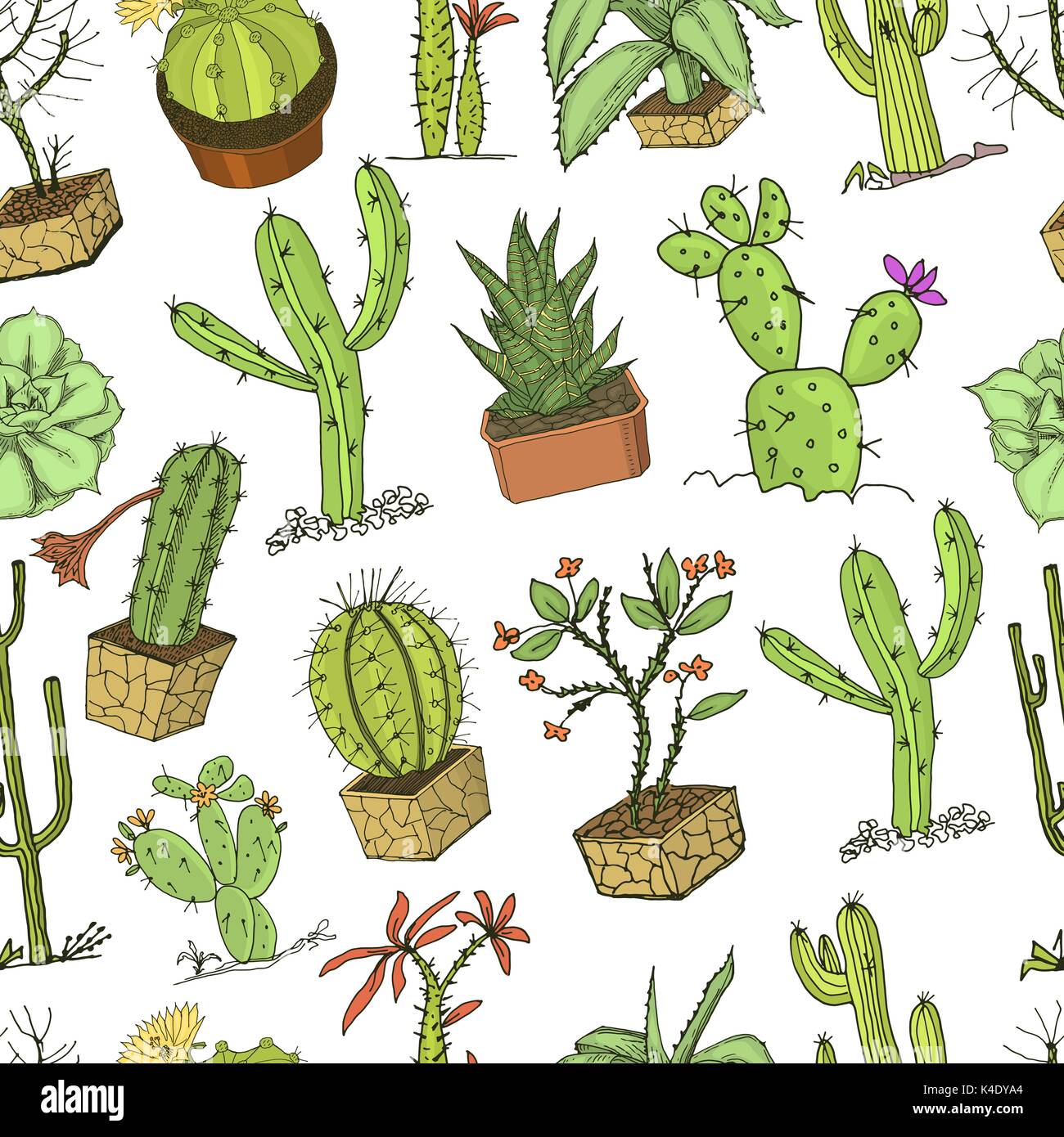 home cactus plants with prickles and nature elements in pots and flowers. exotic or tropical ...