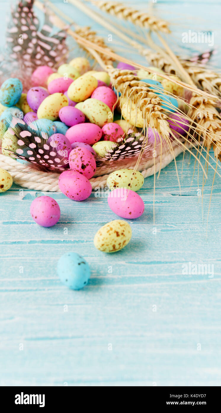 Easter colored eggs, feathers, spikes, on a blue wooden background ...