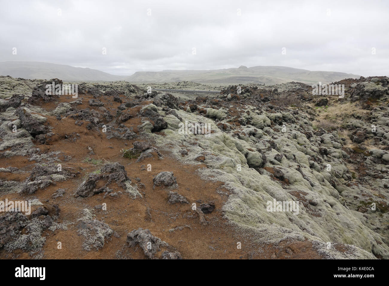 Iceland, Lava Stones Covered With Iceland Moss, Southeast Stock Photo ...