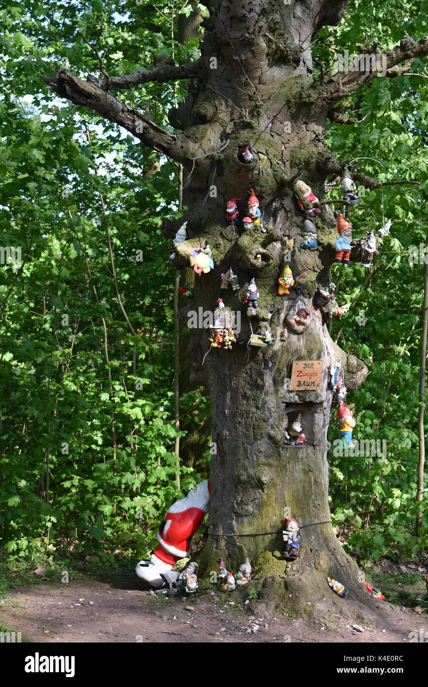 Dwarf Tree Stock Photos & Dwarf Tree Stock Images - Alamy