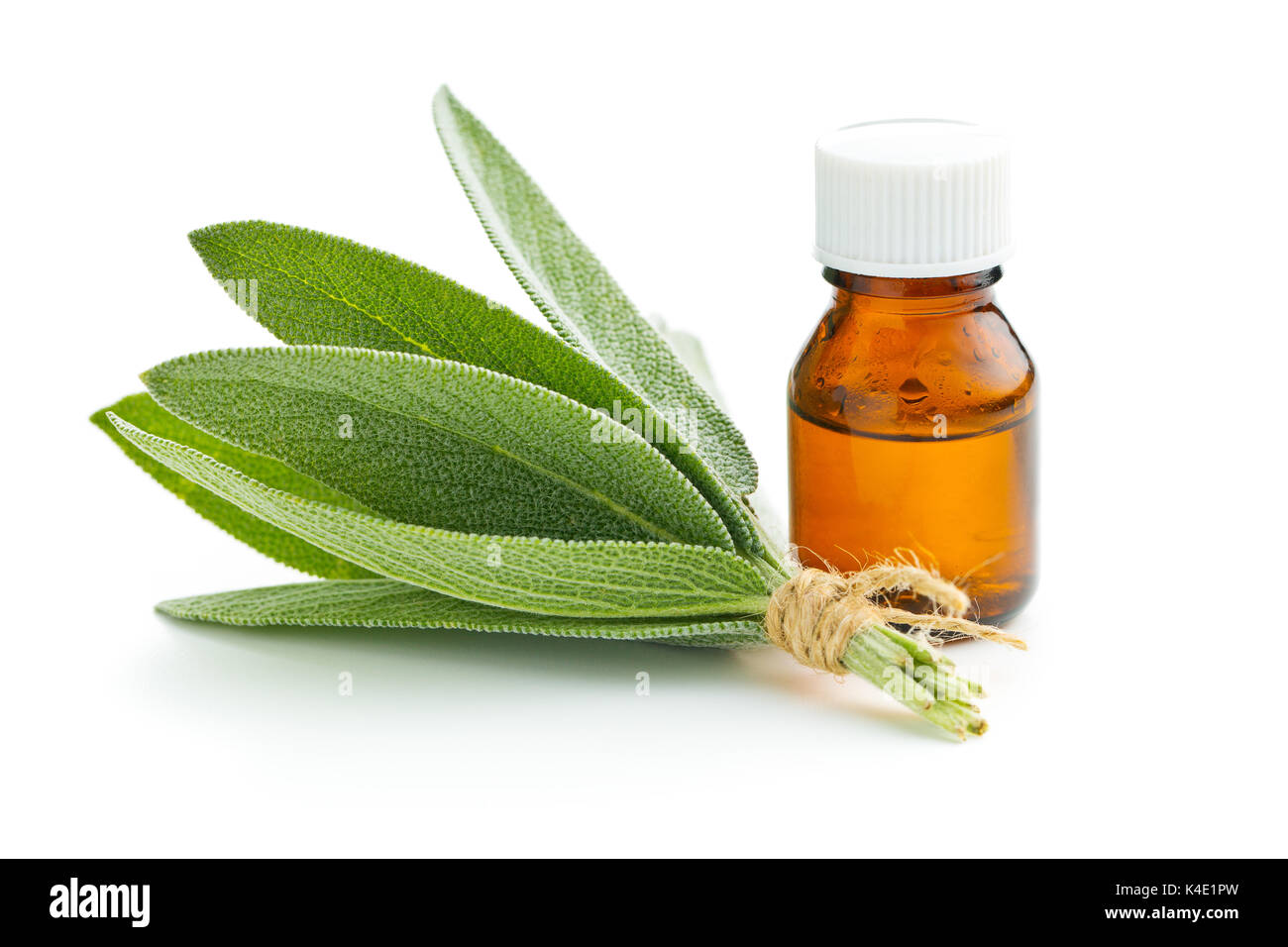 Bottle of essential sage oil and sage leaves. Sage isolated on white ...