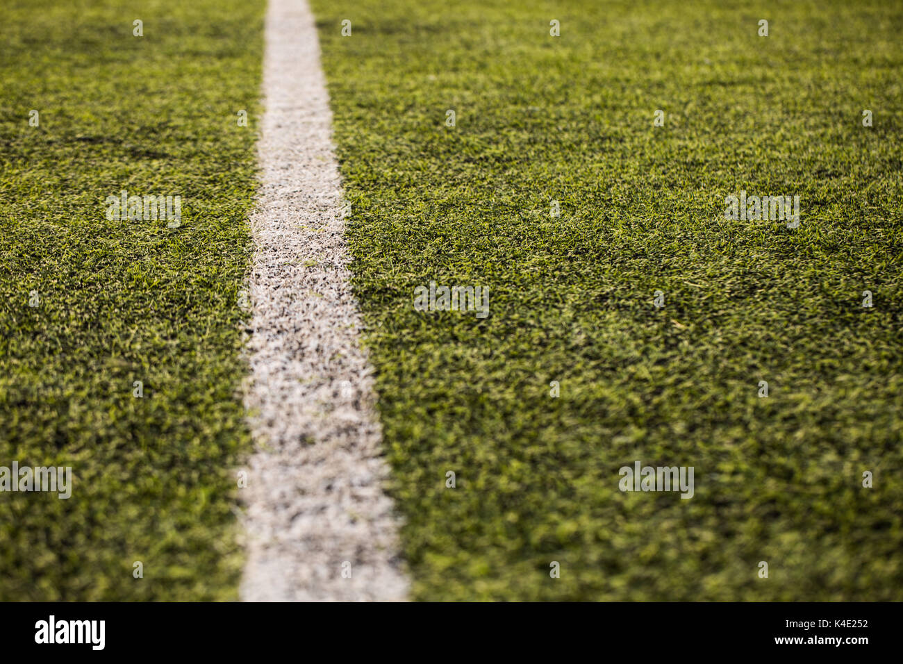 green grass pattern for football sport, Football field, soccer field ...