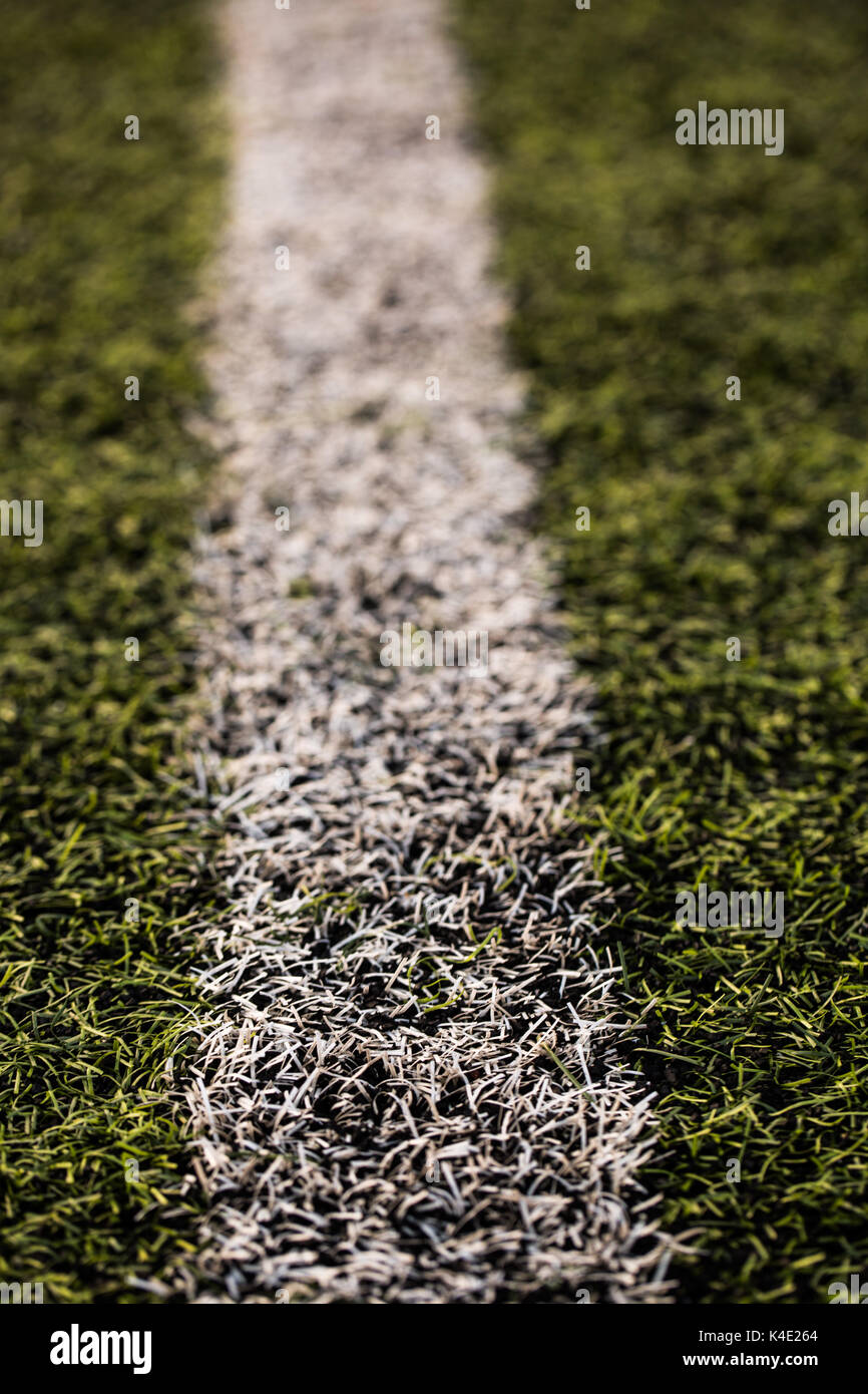 green grass pattern for football sport, Football field, soccer field ...