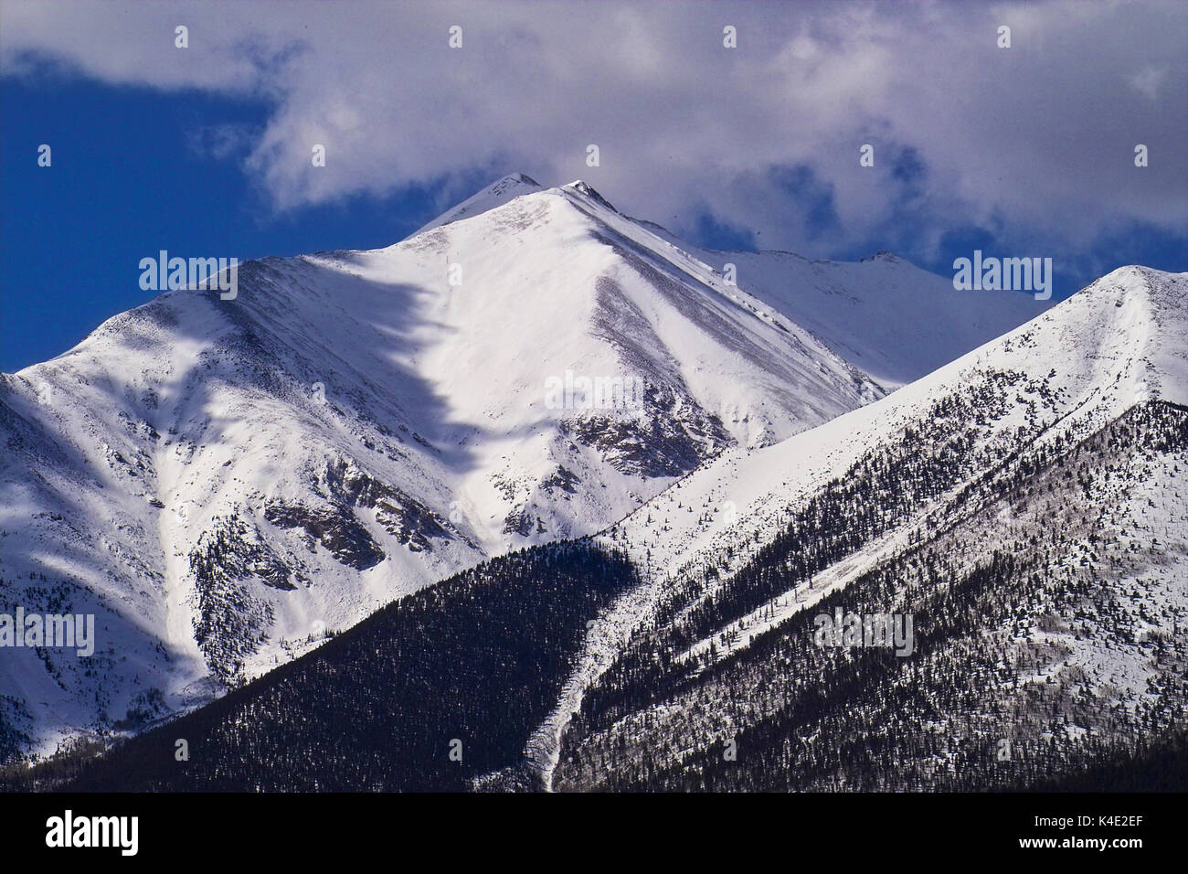 MT. PRINCETON, CHAFFEE COUNTY, COLORADO Stock Photo - Alamy