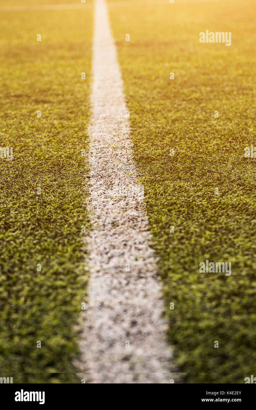 green grass pattern for football sport, Football field, soccer field ...