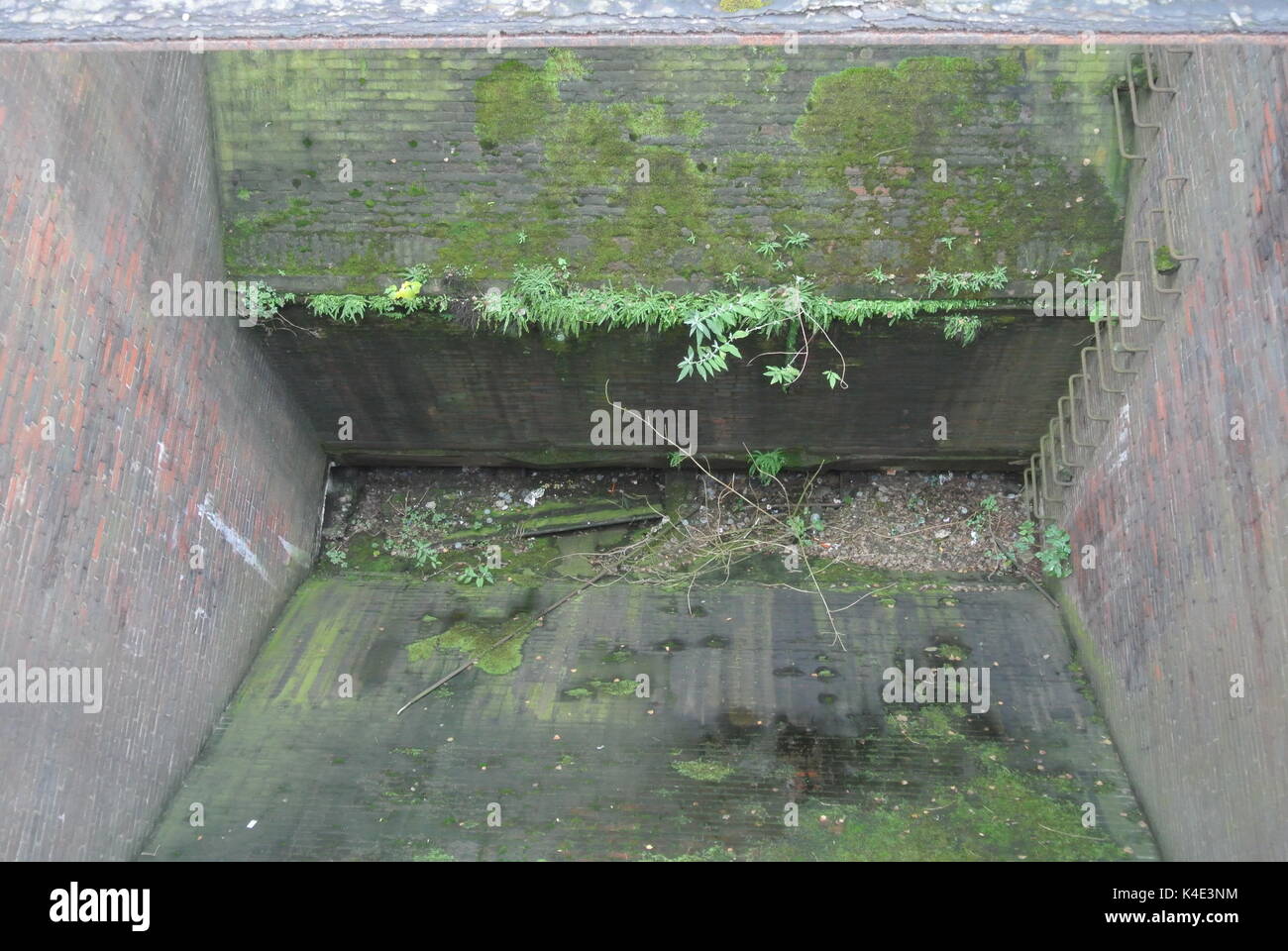 Partially overgrown hi-res stock photography and images - Alamy