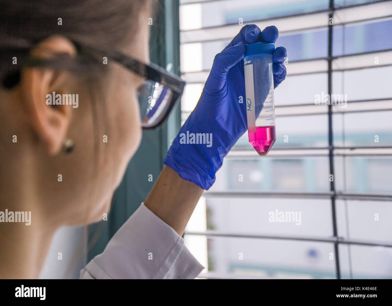 Female researcher is looking at a cell pellet in a tube. Laboratory ...