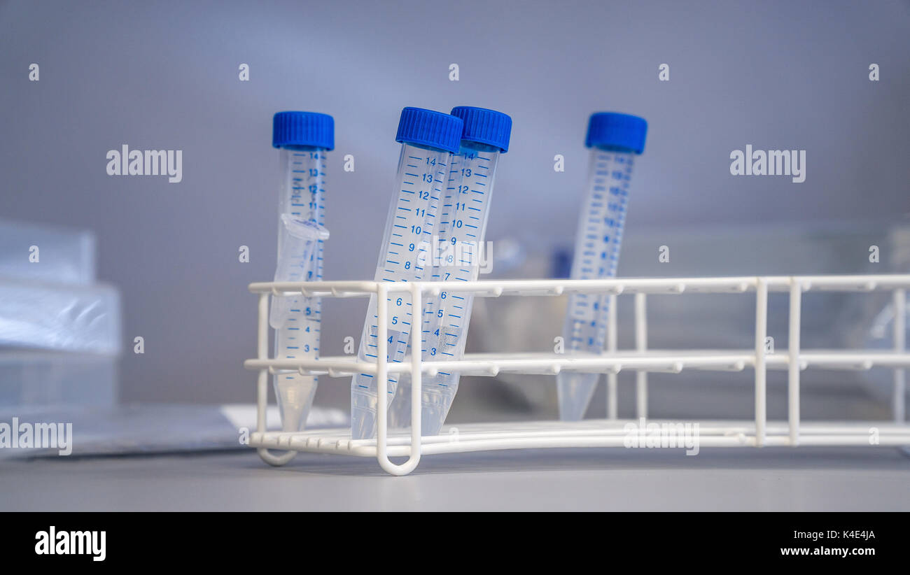 Laboratory work. Tubes for cell splitting at the sterile bank Stock ...