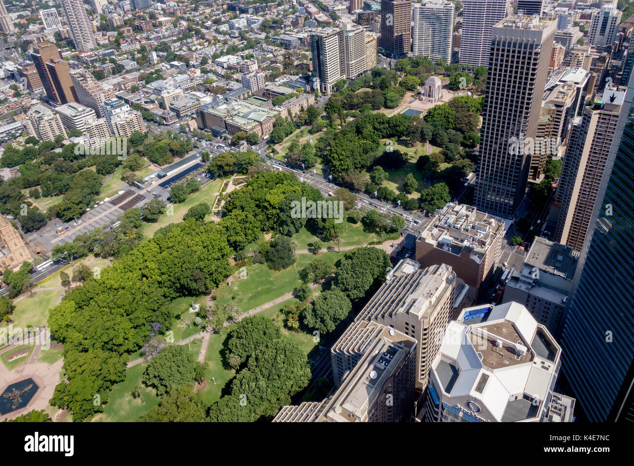 Are Dogs Allowed In Hyde Park Sydney