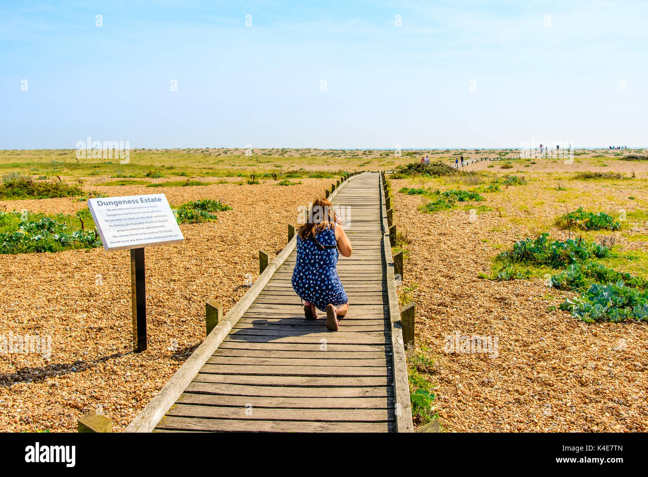 Dungeness Estate in Kent on a summers day Stock Photo - Alamy