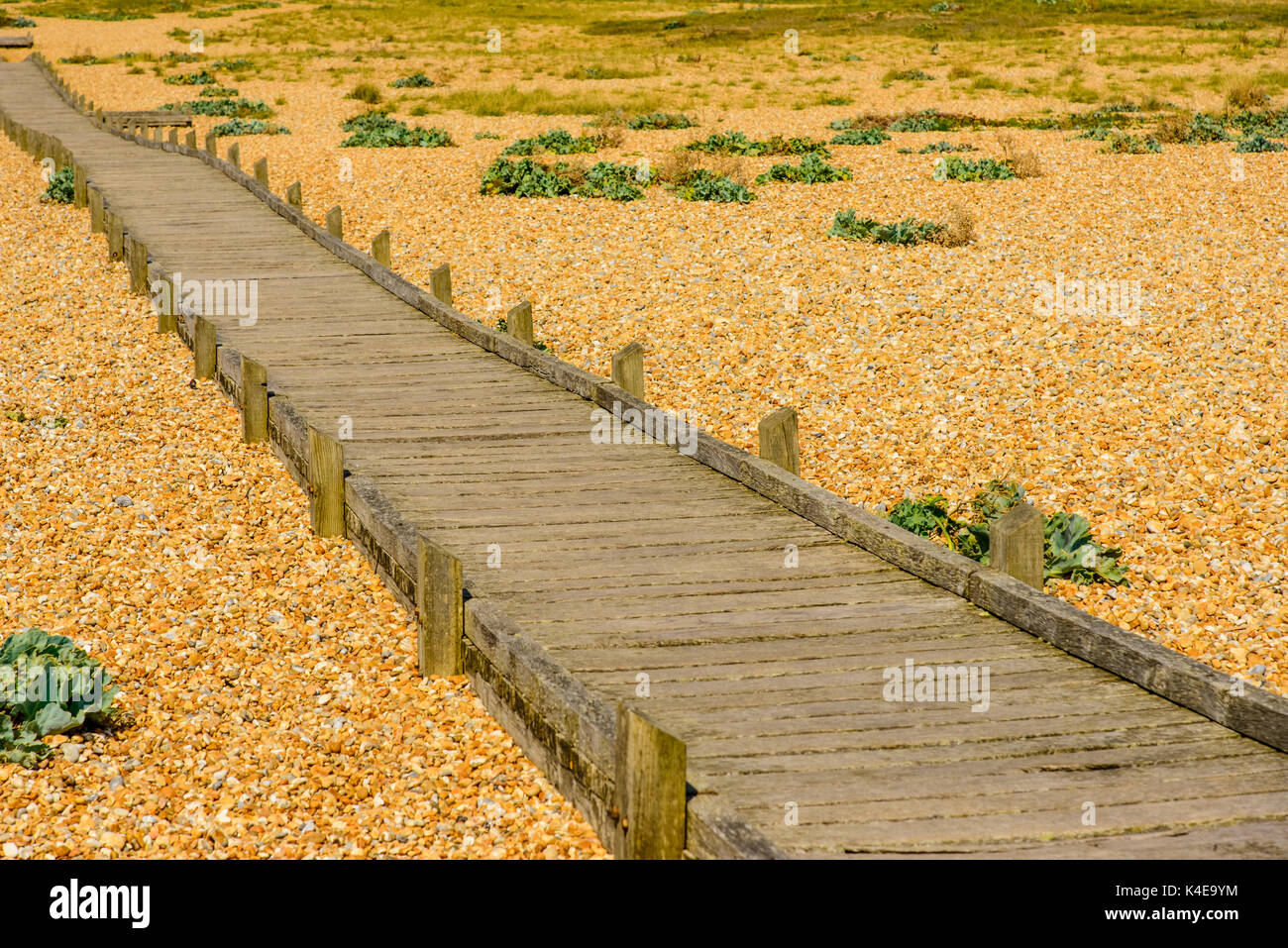 The dungeness estate in kent hi-res stock photography and images - Alamy