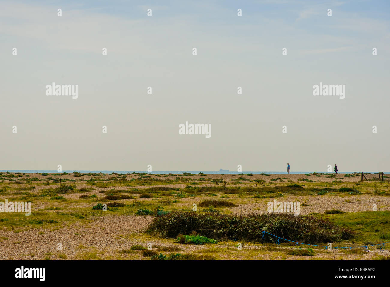 Dungeness Estate in Kent on a summers day Stock Photo - Alamy