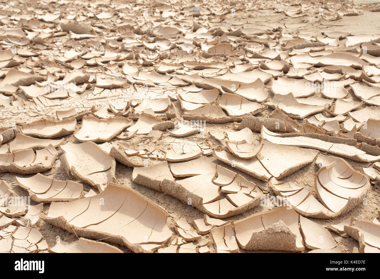 Closeup of dry cracked earth background, clay desert texture Stock ...