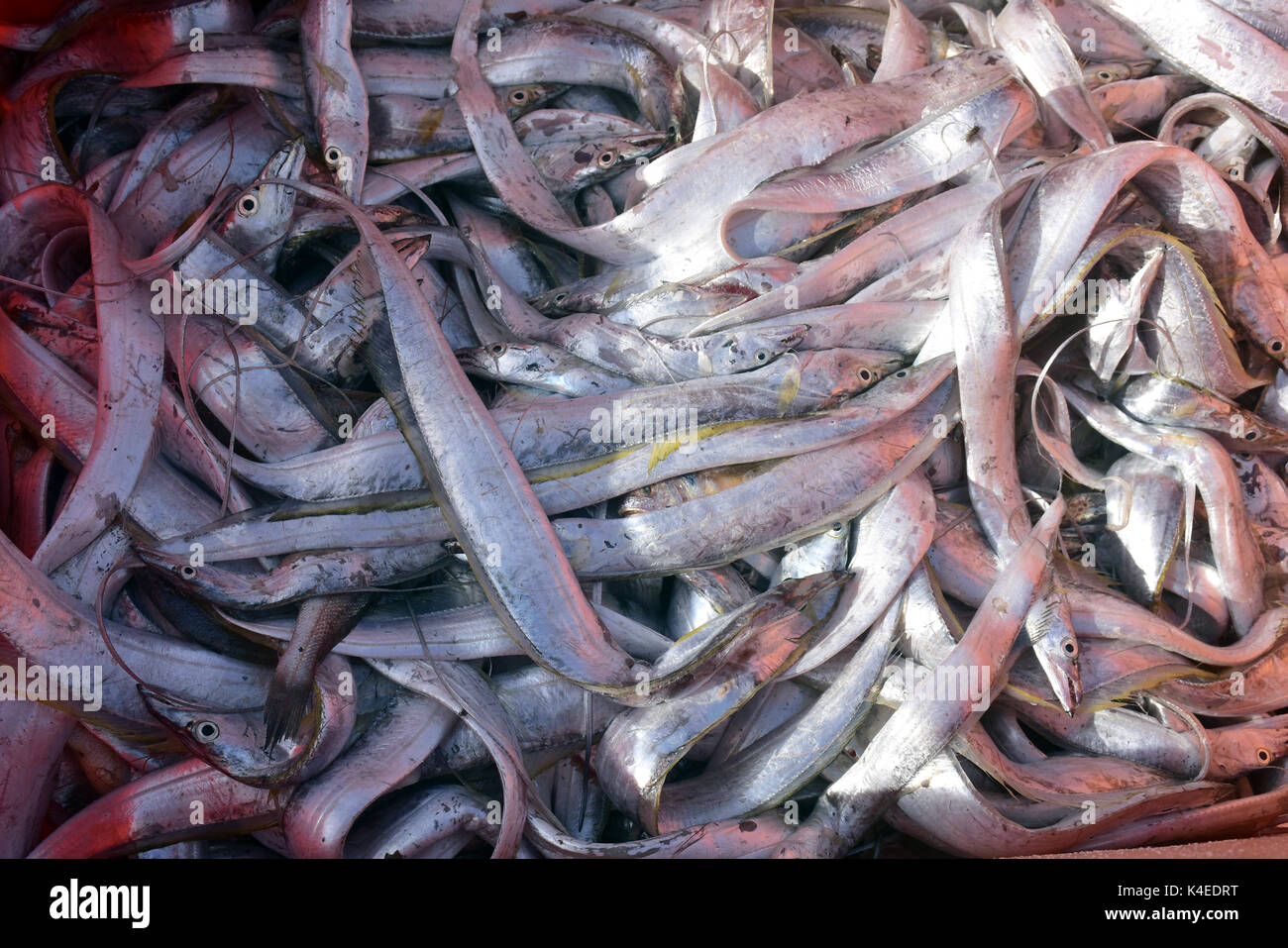 Koli women hi-res stock photography and images - Alamy