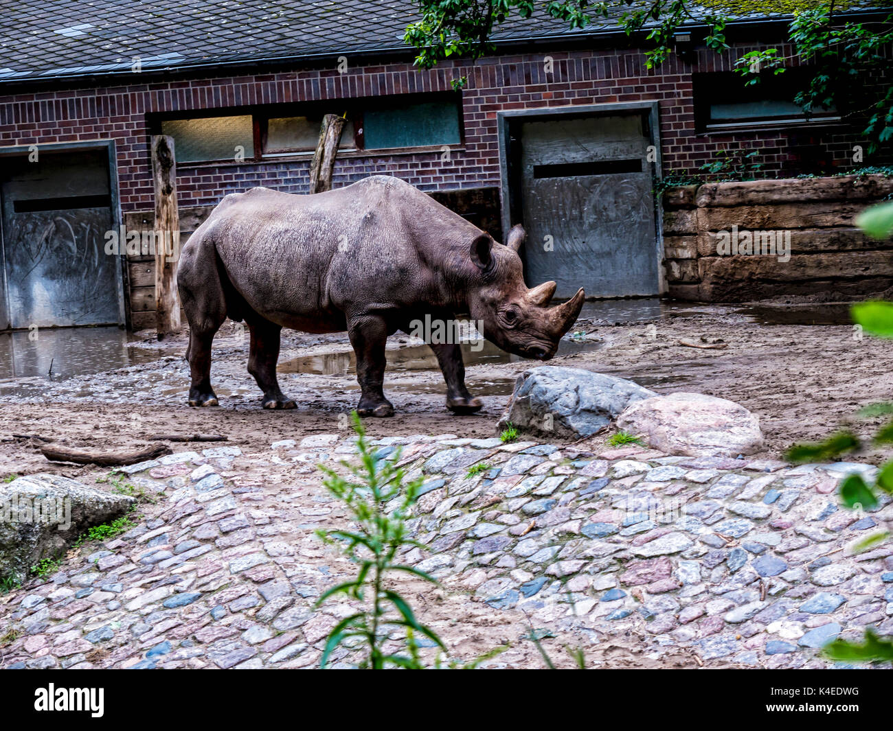 Zoological Gardens and Aquarium in Berlin Germany. The Berlin Zoo is ...