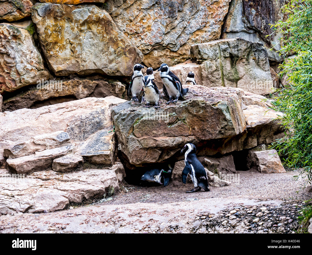 Zoological Gardens and Aquarium in Berlin Germany. The Berlin Zoo is ...