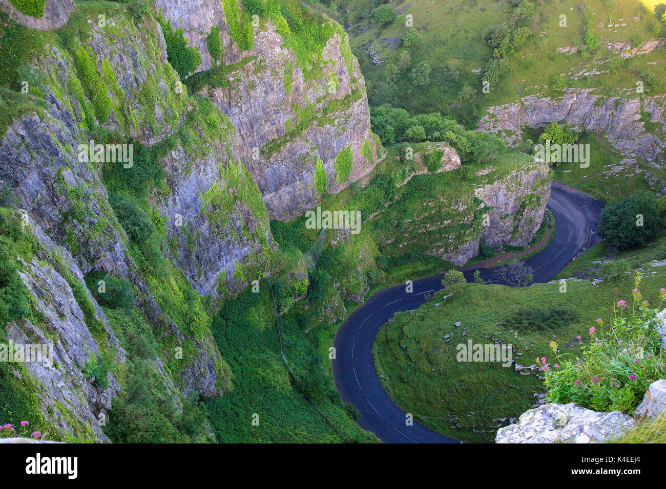 Chedder hi-res stock photography and images - Alamy