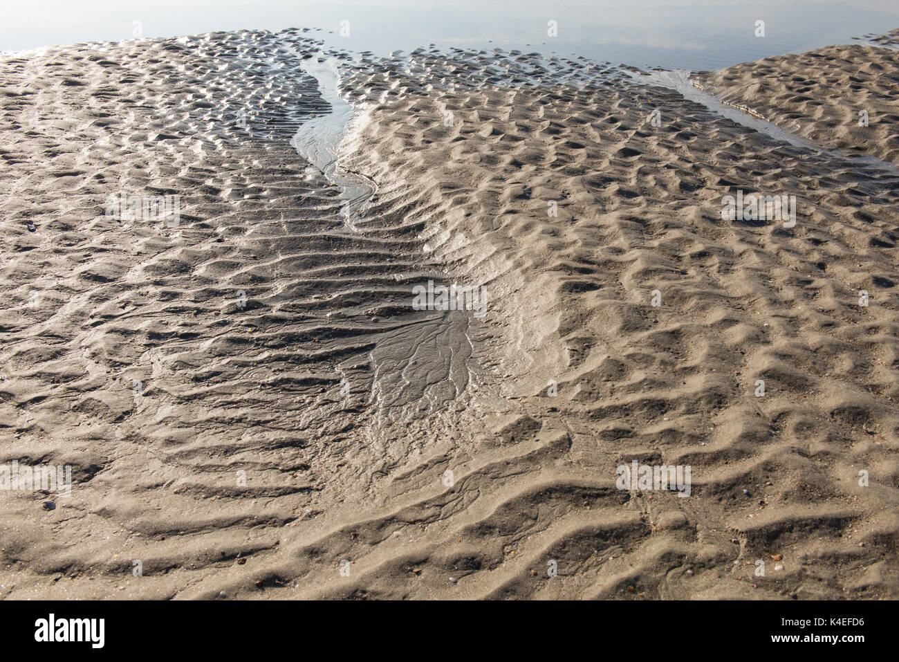 Wavy pattern of the sandy ocean floor at low tide Stock Photo - Alamy