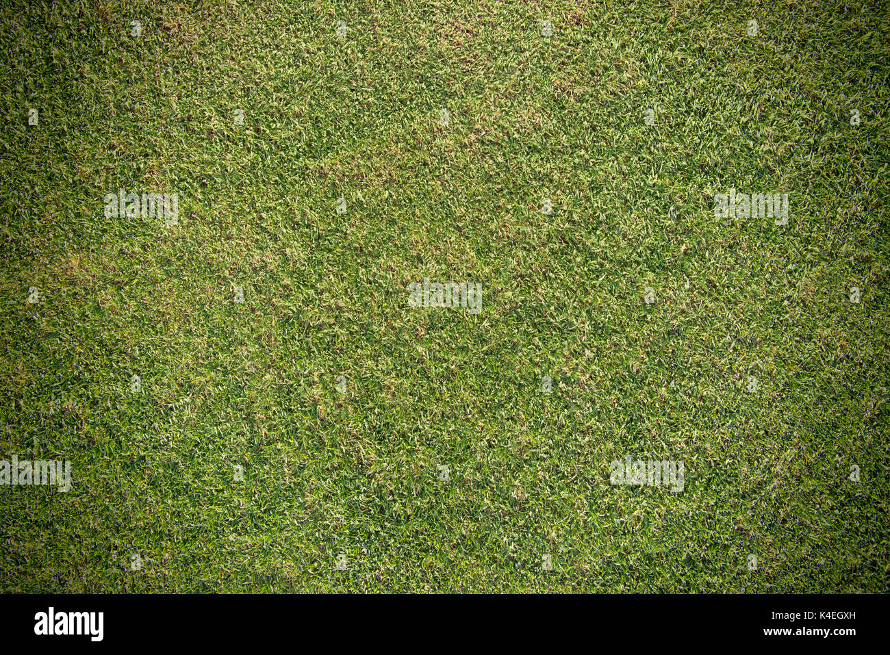 Smooth green grass soccer or golf field background Stock Photo - Alamy
