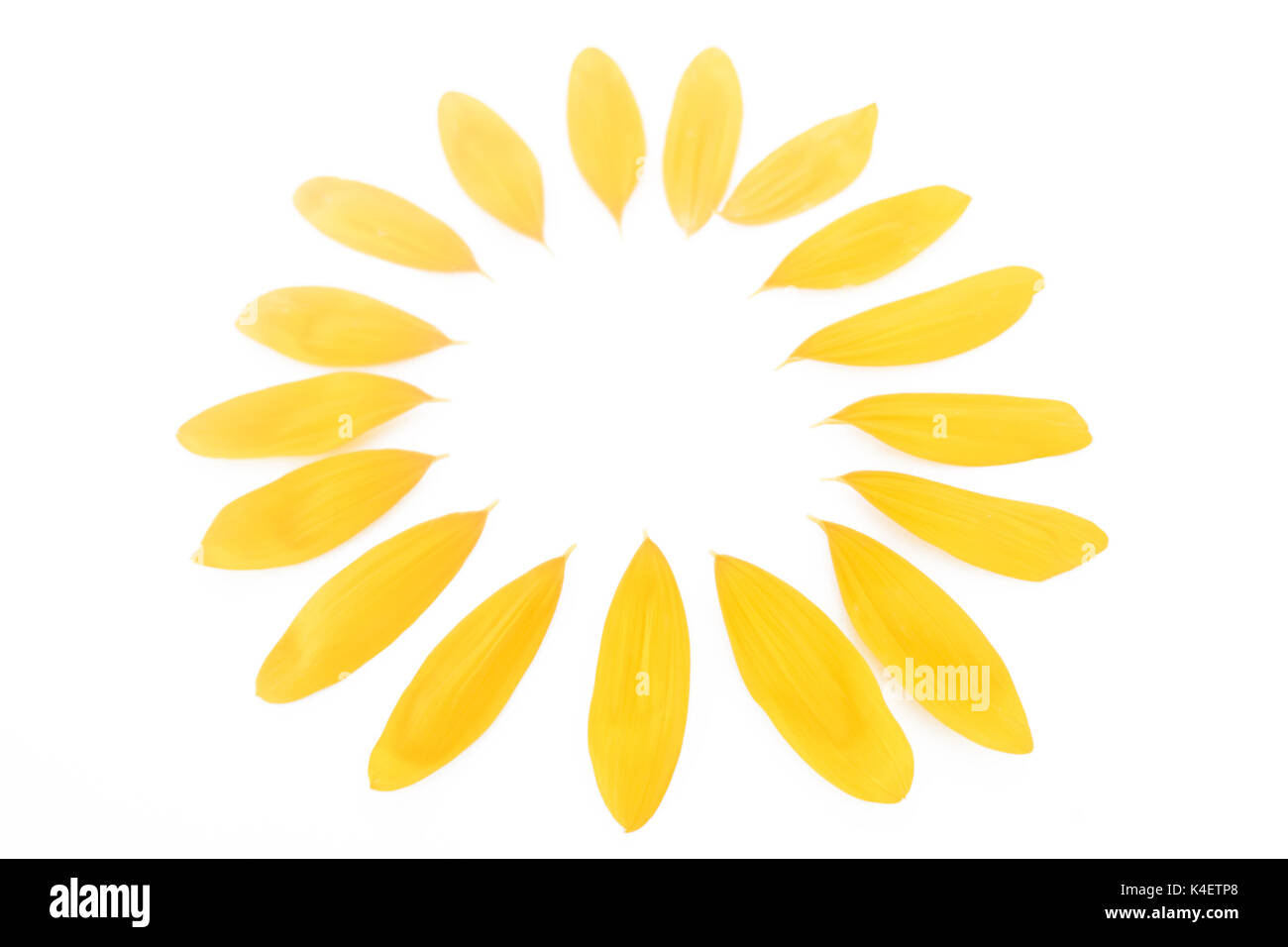 Sunflower circle hi-res stock photography and images - Alamy