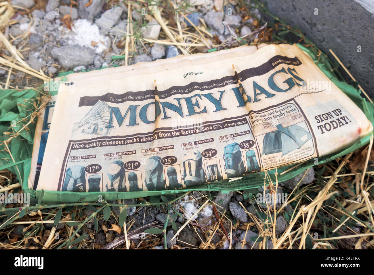 Lying on newspaper hi-res stock photography and images - Alamy