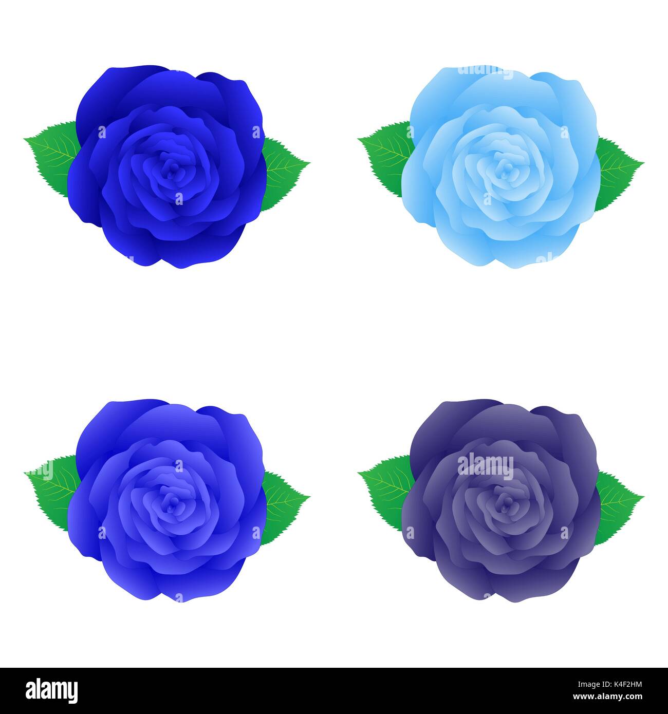 Isolated blue rose for decoration, set of blue rose, vector flower ...
