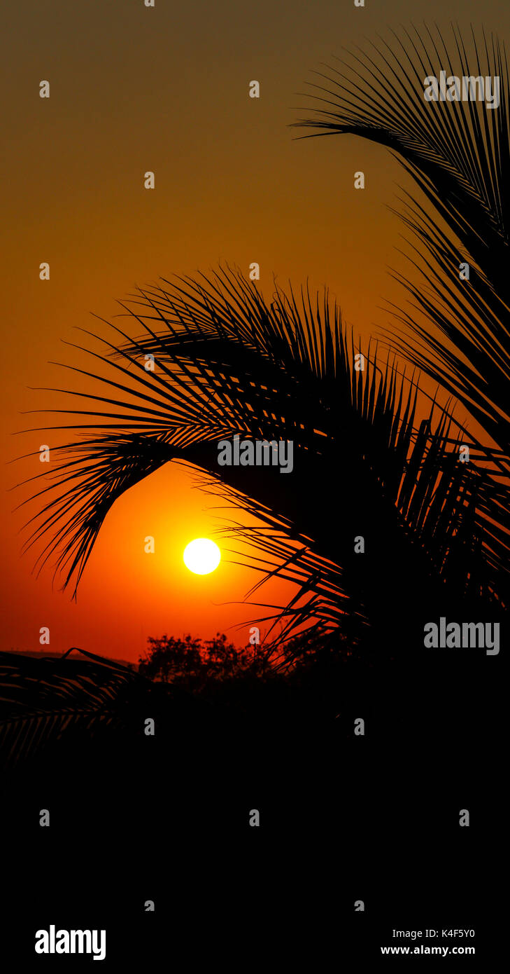 Silhouette pictures of sunset hi-res stock photography and images - Alamy