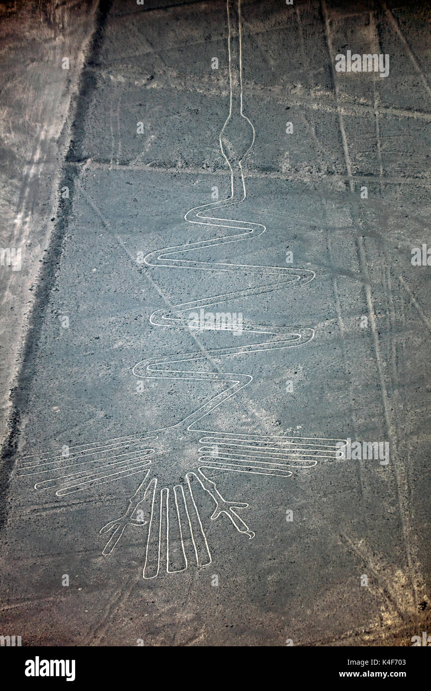The Heron / Flamingo / Alcatraz, Nazca Lines, (ancient geoglyphs and ...