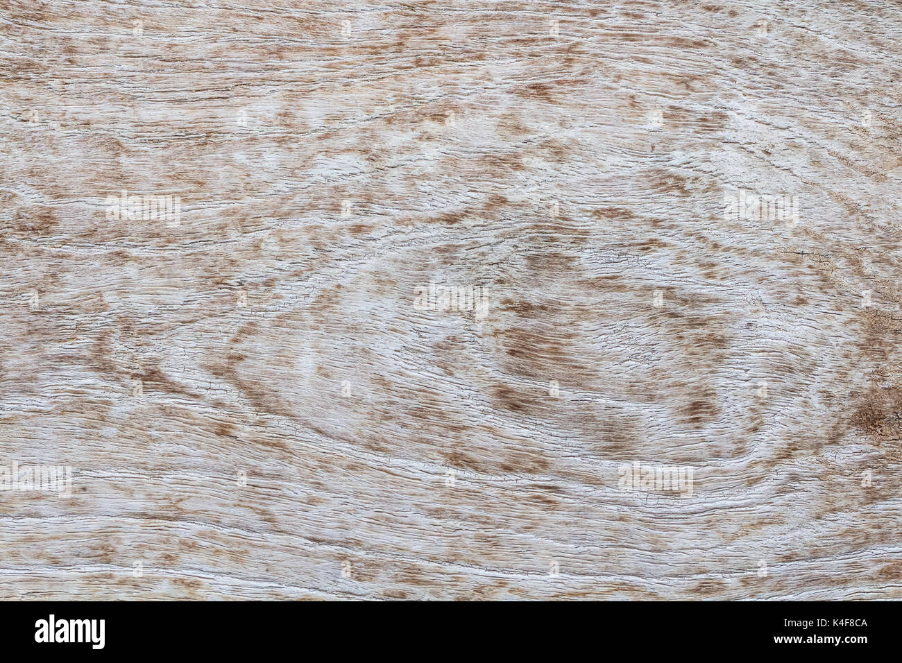 Vintage surface wood table and rustic grain texture background. Close ...