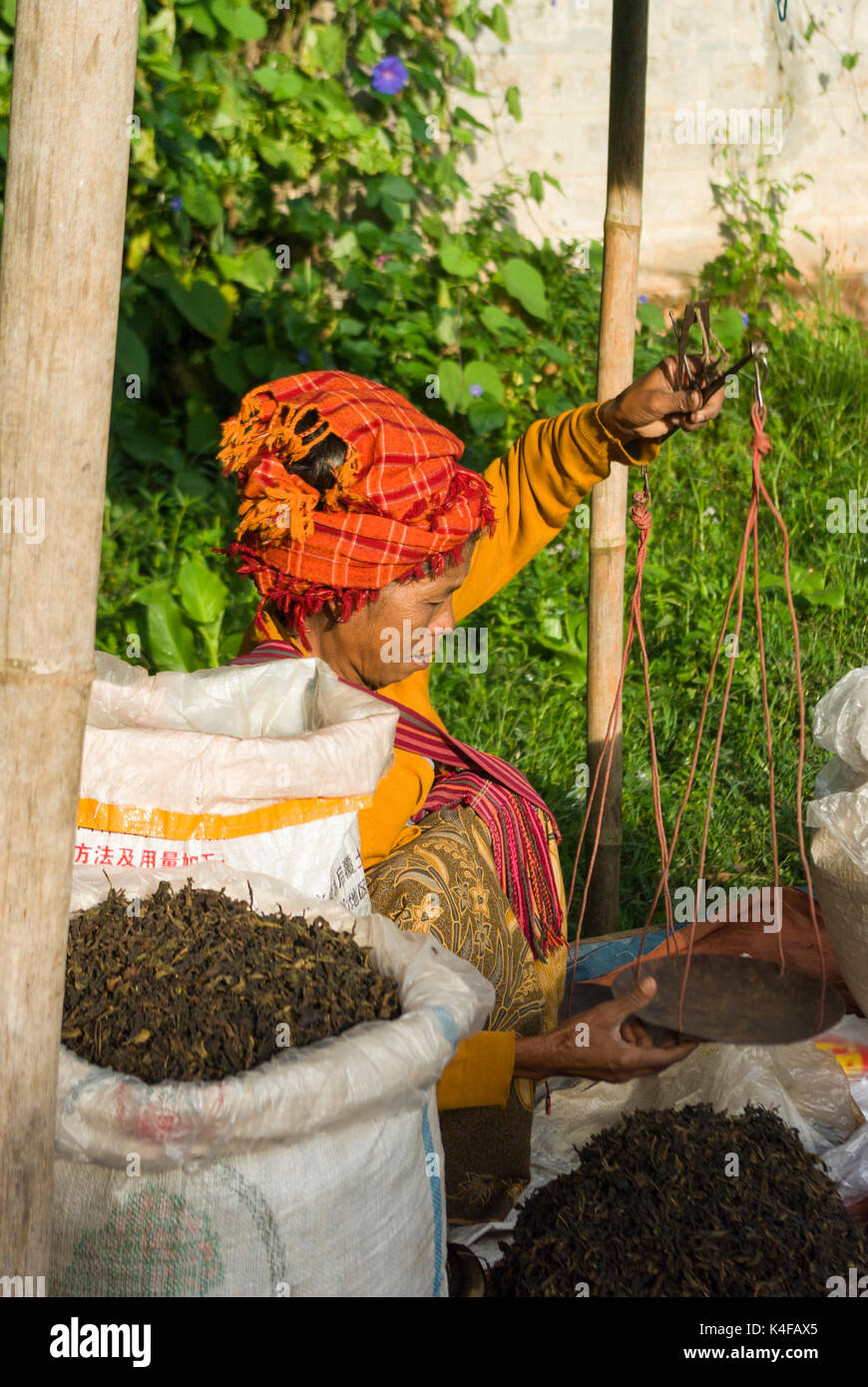 Burmese woman weighing dried tea leaves on scale in a market in Kalaw ...