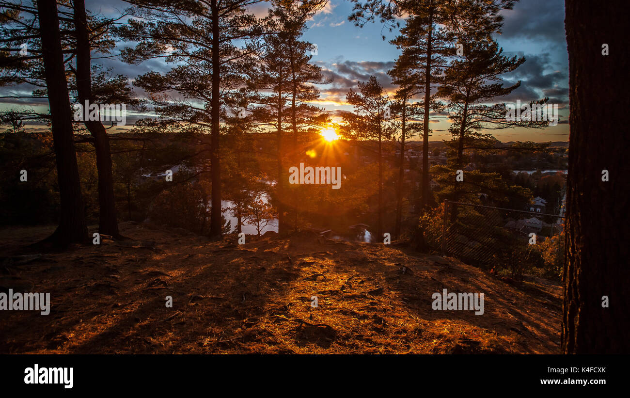 Sunset time on the hill Stock Photo - Alamy