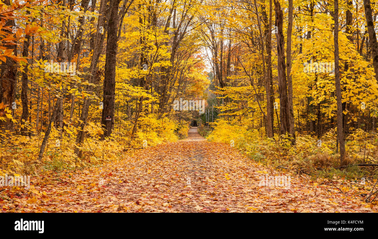 hiking the trails in autumn Stock Photo - Alamy