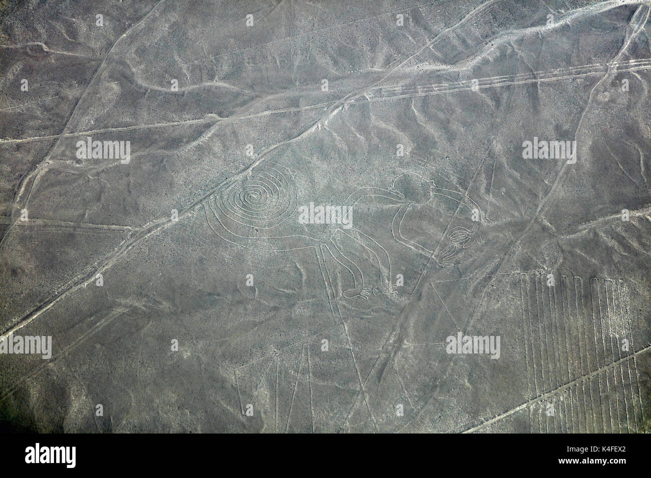 The Monkey, Nazca Lines, (ancient geoglyphs and World Heritage Site) in ...