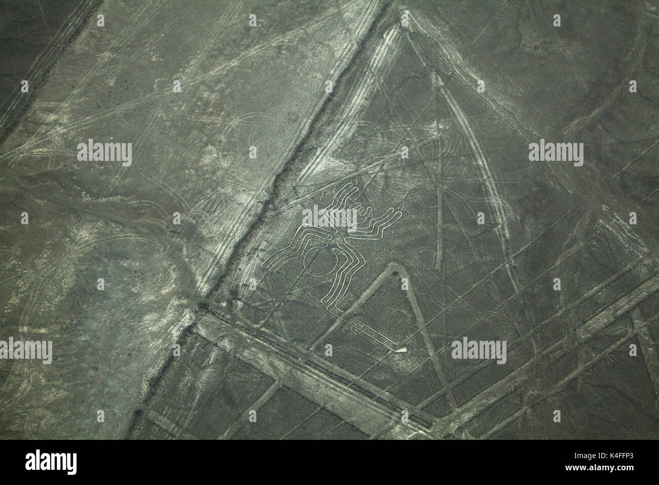 The Spider, Nazca Lines, (ancient geoglyphs and World Heritage Site) in ...
