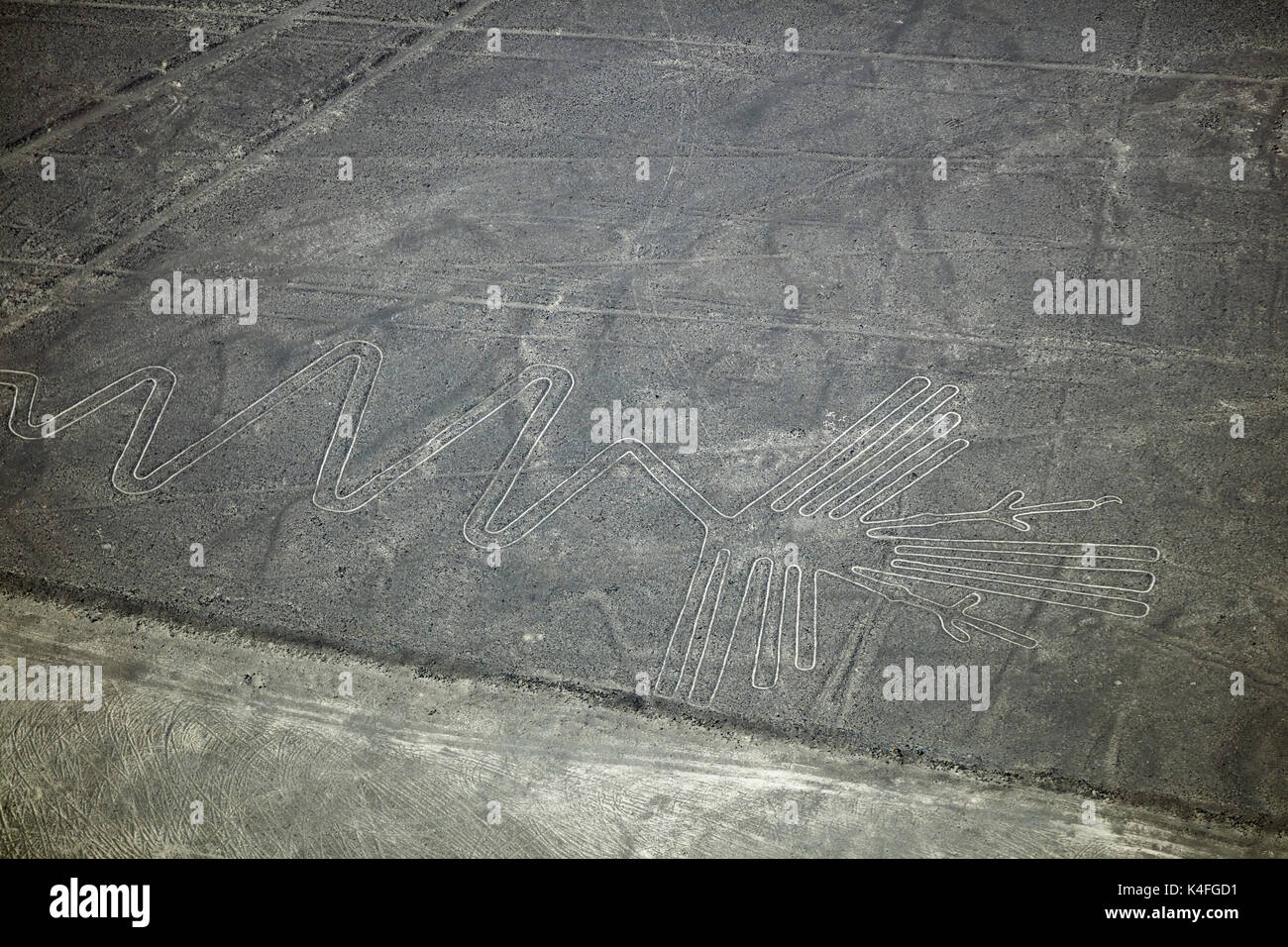 The Heron / Flamingo / Alcatraz, Nazca Lines, (ancient geoglyphs and ...