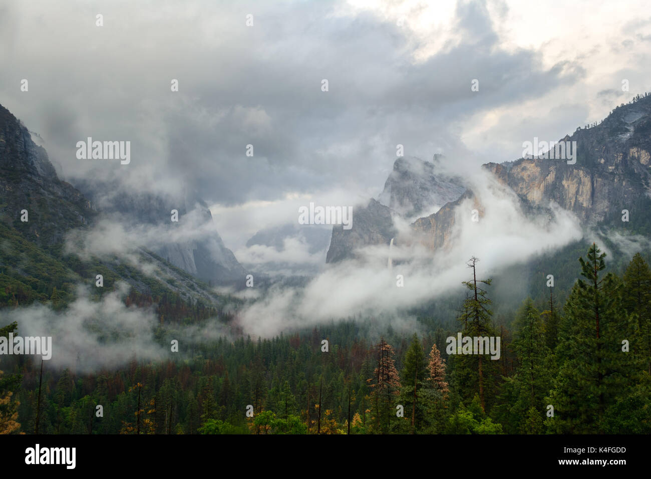 Cloudy / foggy view of Half Dome, Bridal Veil Falls and El Capitan from ...