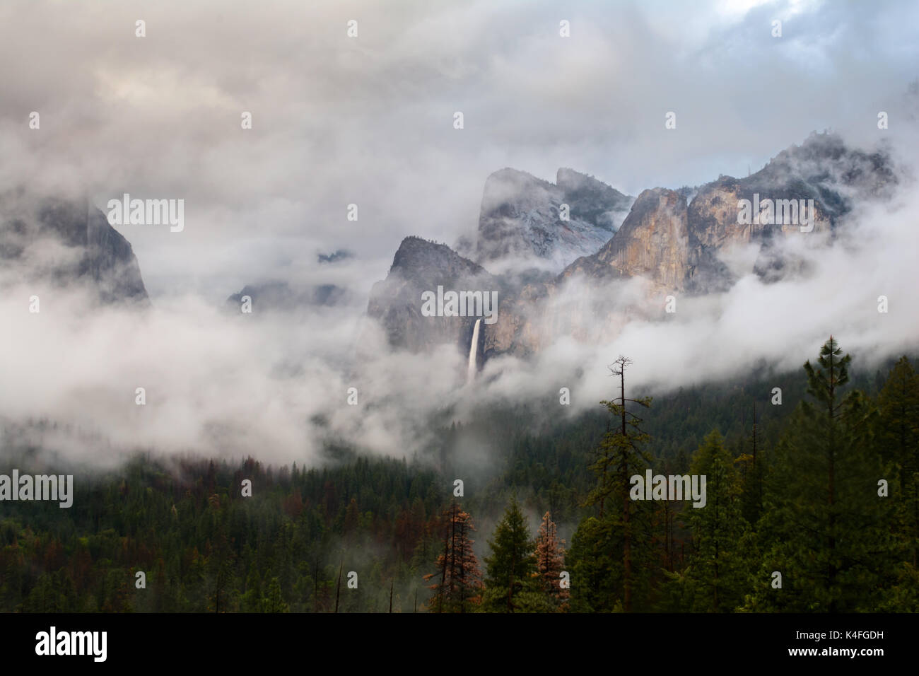 Adams falls rocky mountain national park hi-res stock photography and ...