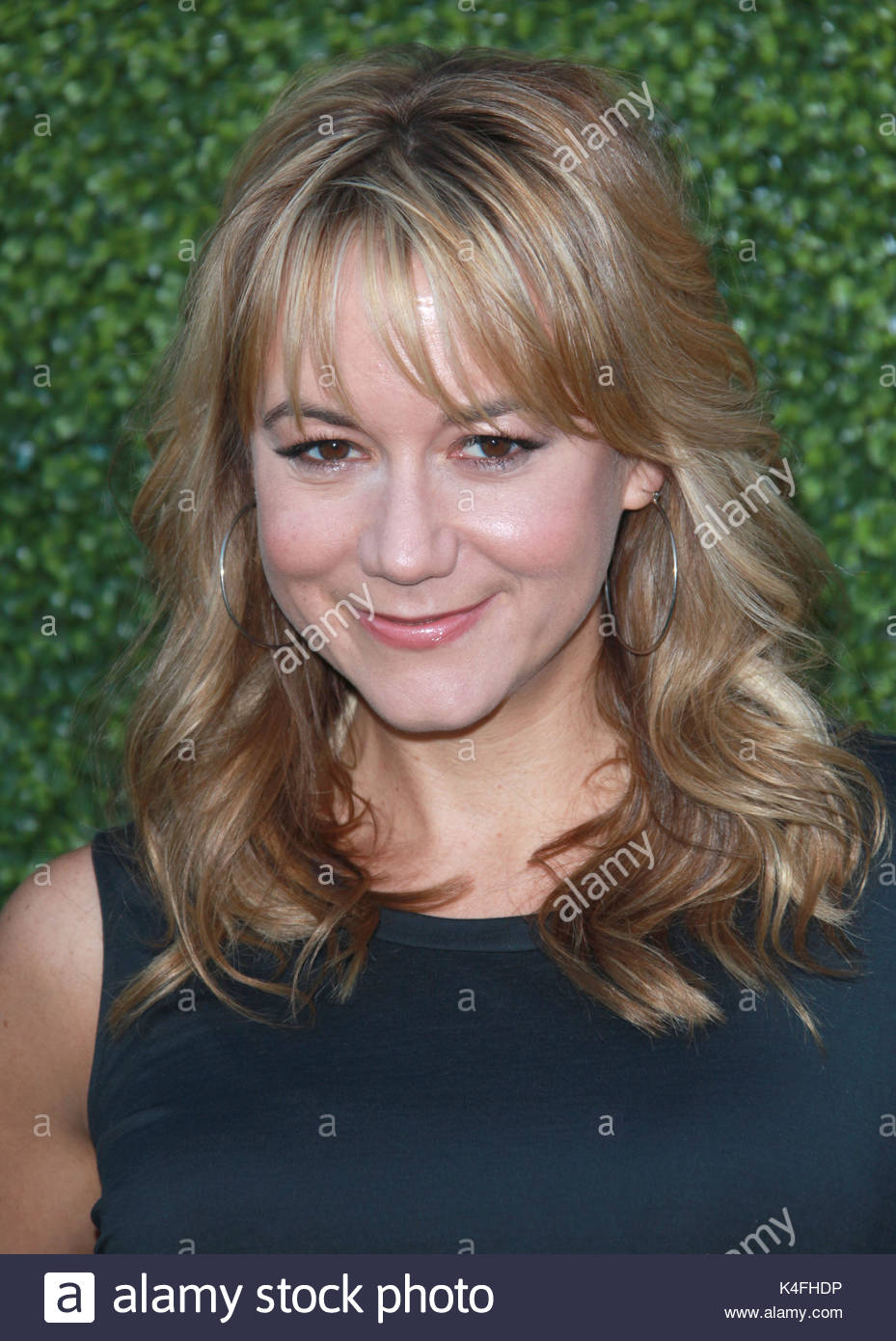 Megyn Price Stock Photos & Megyn Price Stock Images - Alamy