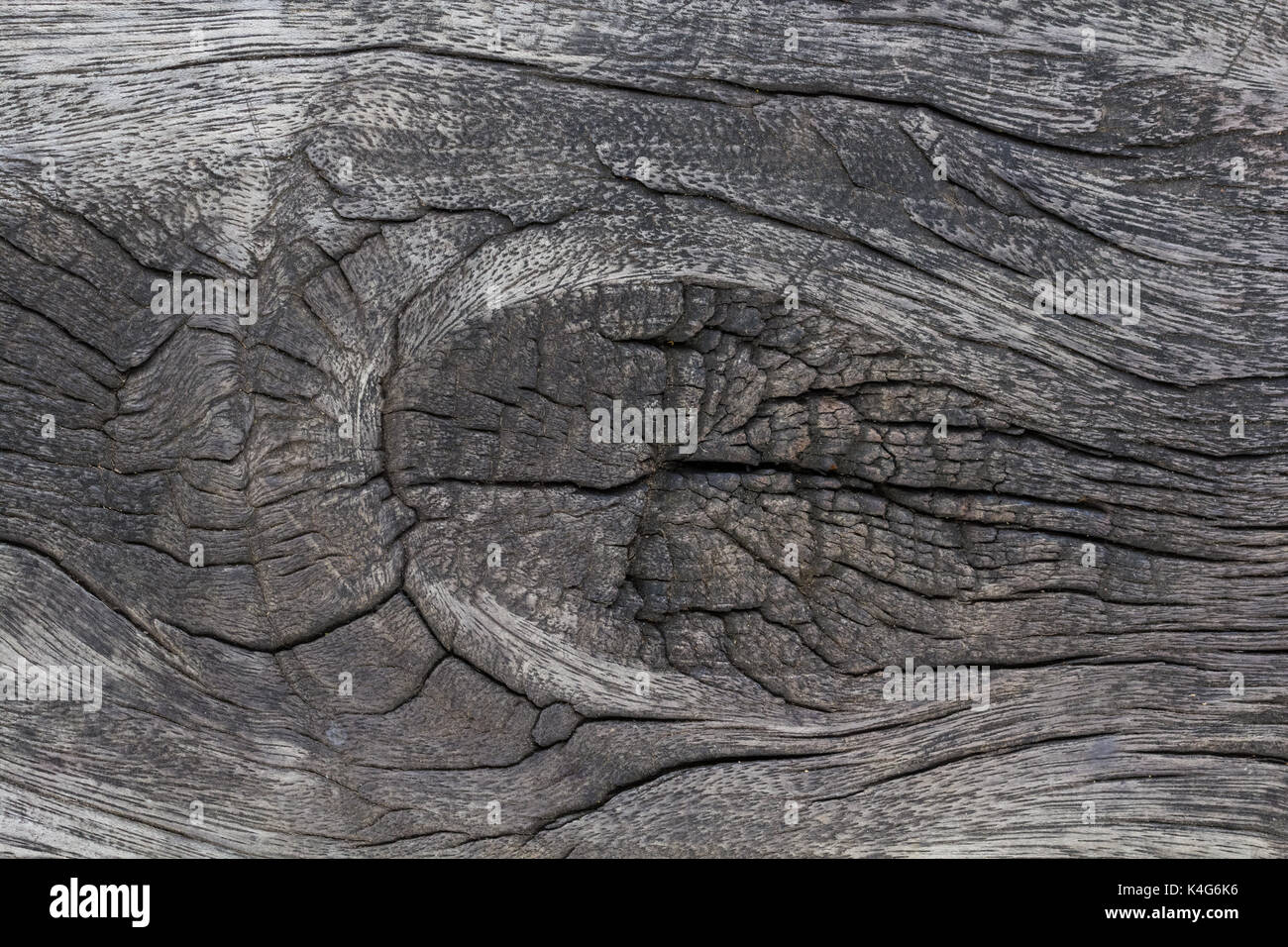 Vintage surface wood table and rustic grain texture background. Close ...